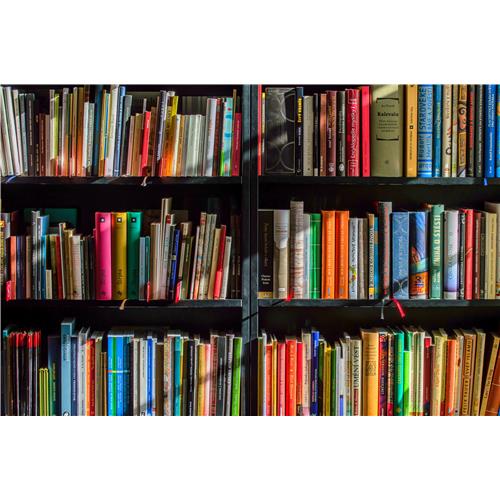 Ghost Wall by Sarah Moss - GDST Online Learning Platform